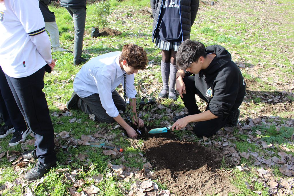 Trabajando por la Conservación del Medio Ambiente: Plan de ...
