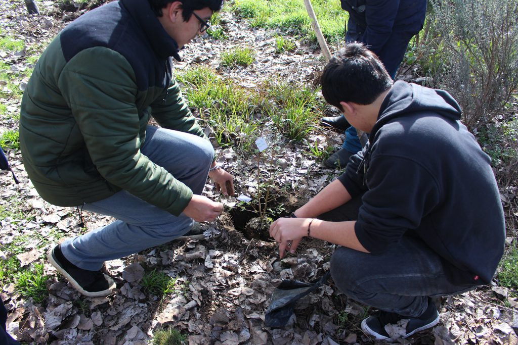 Trabajando por la Conservación del Medio Ambiente: Plan de ...