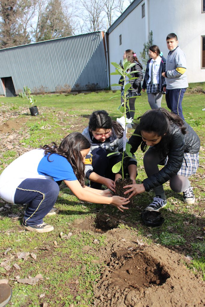 Trabajando por la Conservación del Medio Ambiente: Plan de ...